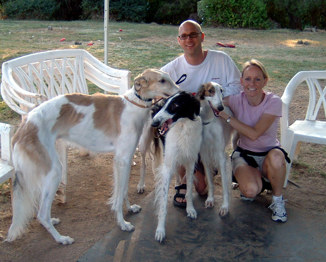 Borzoi at Gentle Giants Rescue and Adoptions